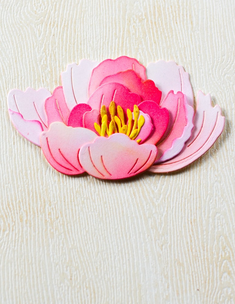 Memory Box Dies - Elegant Peony Blossom - Scrapbooking Made Simple
