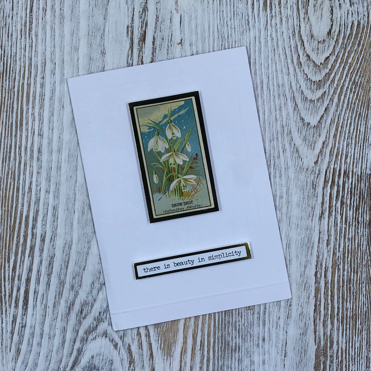 Craft Consortium The Essential Embellishments, Ephemera - The Collector ...