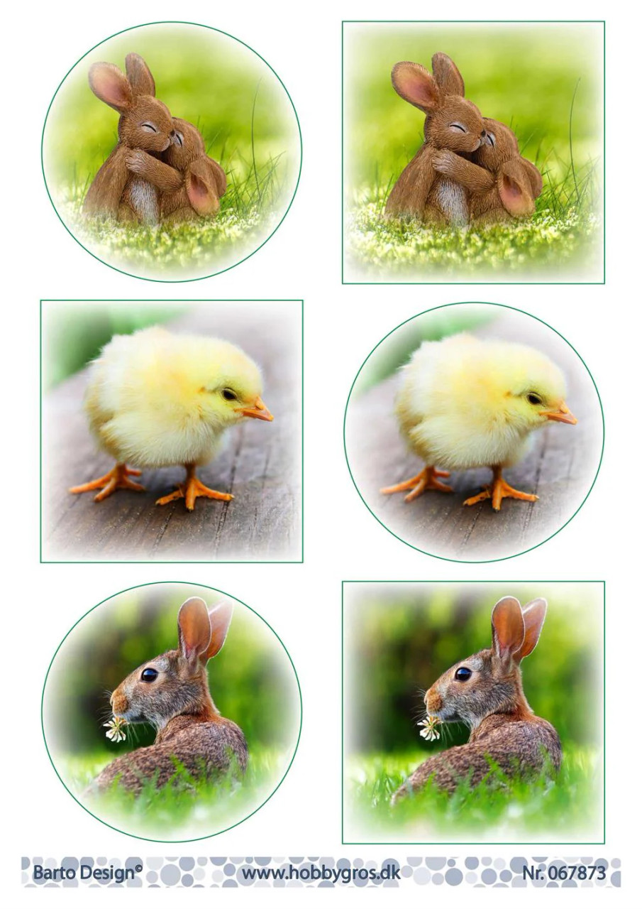 Barto Design A4 Topper Sheet - Easter #2 - Scrapbooking Made Simple