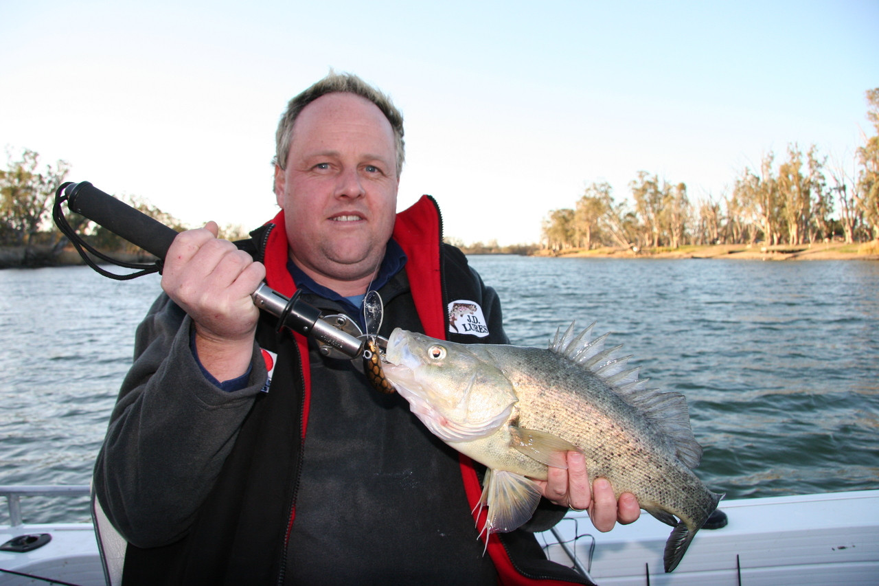 JD 65mm SUPER BUG "Red Yabby " - JD / Eddy Lures