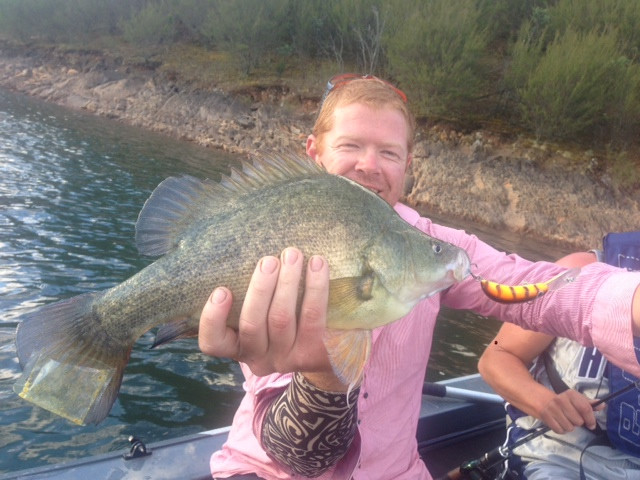 JD 65mm SUPER BUG "Red Yabby " - JD / Eddy Lures