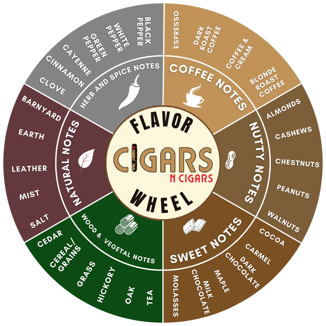 How to Smoke a Cigar: Step-by-Step Guide - Cigars N Cigars