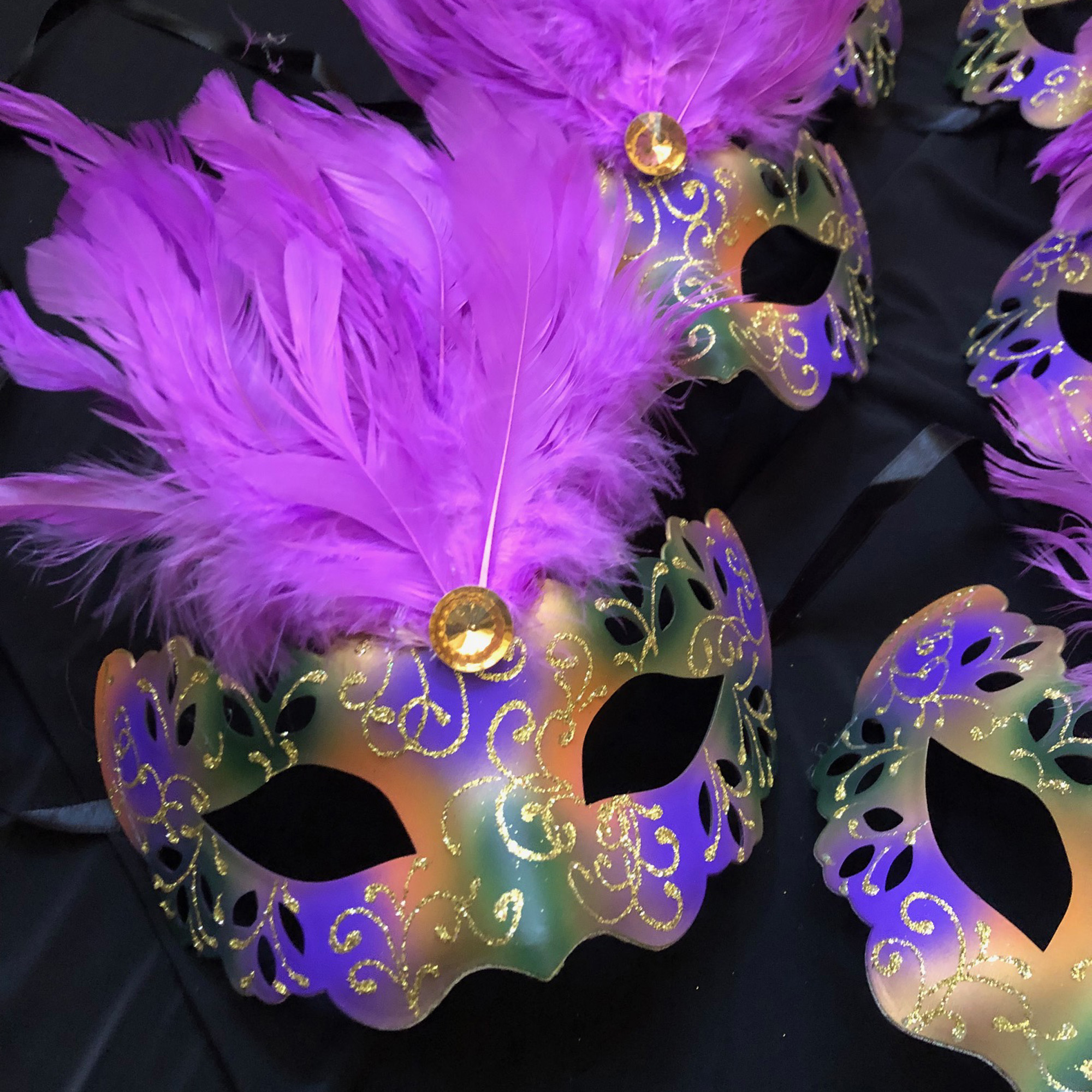 Mardi Gras Feather Masks Bulk Pack Of Six