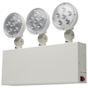 Satco 67-133 | Modern Compact Indoor Emergency Light Fixture