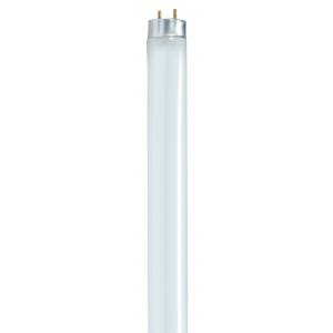 Satco S8429 | LED High-Performance T8 Fluorescent Tube