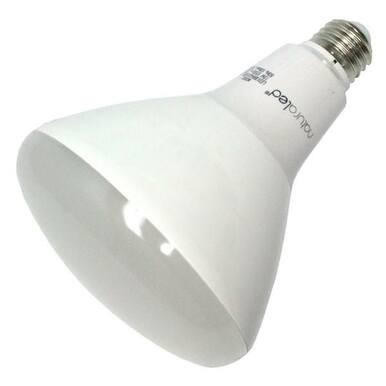 NaturaLED 5836 | LED BR40 Light Bulb