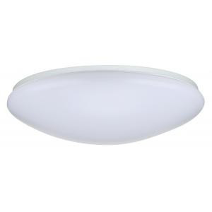 Satco 62-1218 | Commercial Indoor Flush-Mount Ceiling Light