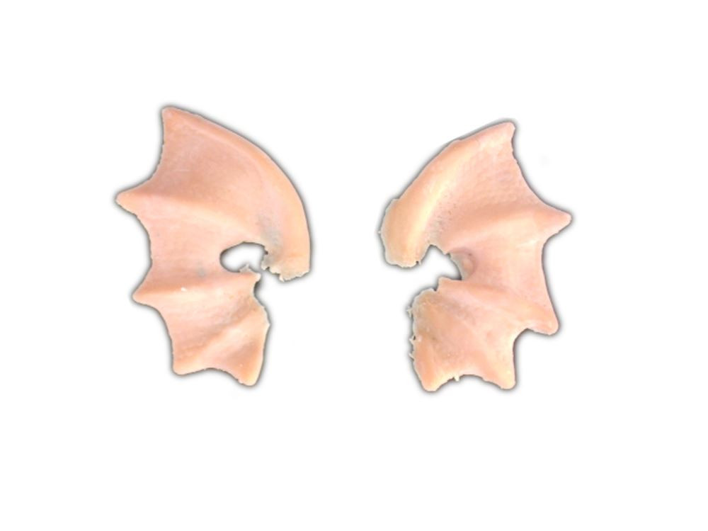 MERFOLK EARS latex mermaid cosplay siren prosthetic halloween costume ...