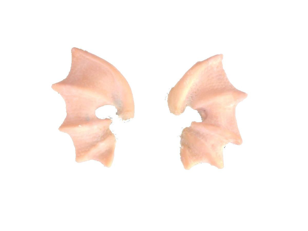 MERFOLK EARS latex mermaid cosplay siren prosthetic halloween costume ...