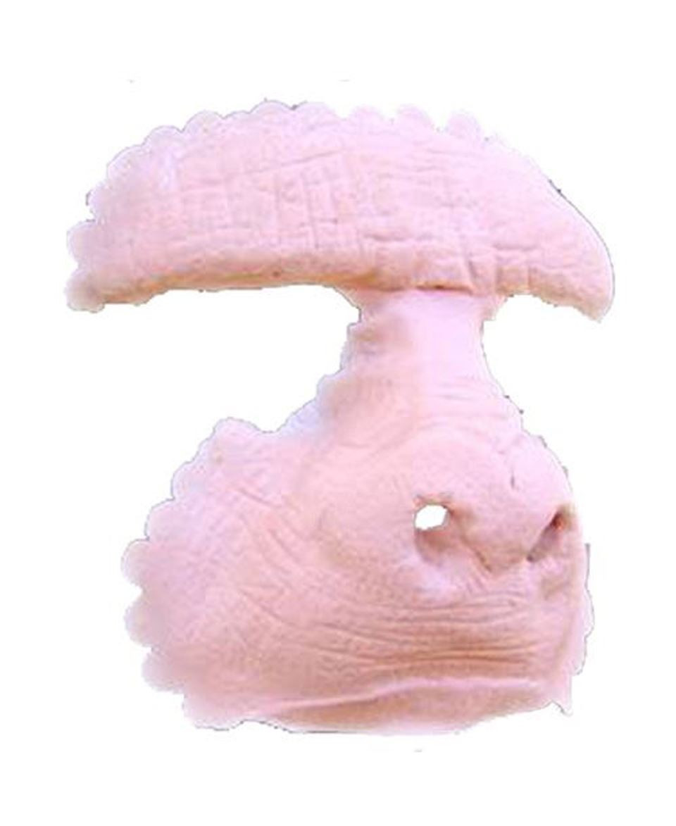 CAT FACE latex kitty nose lion mask prosthetic halloween costume mens ...