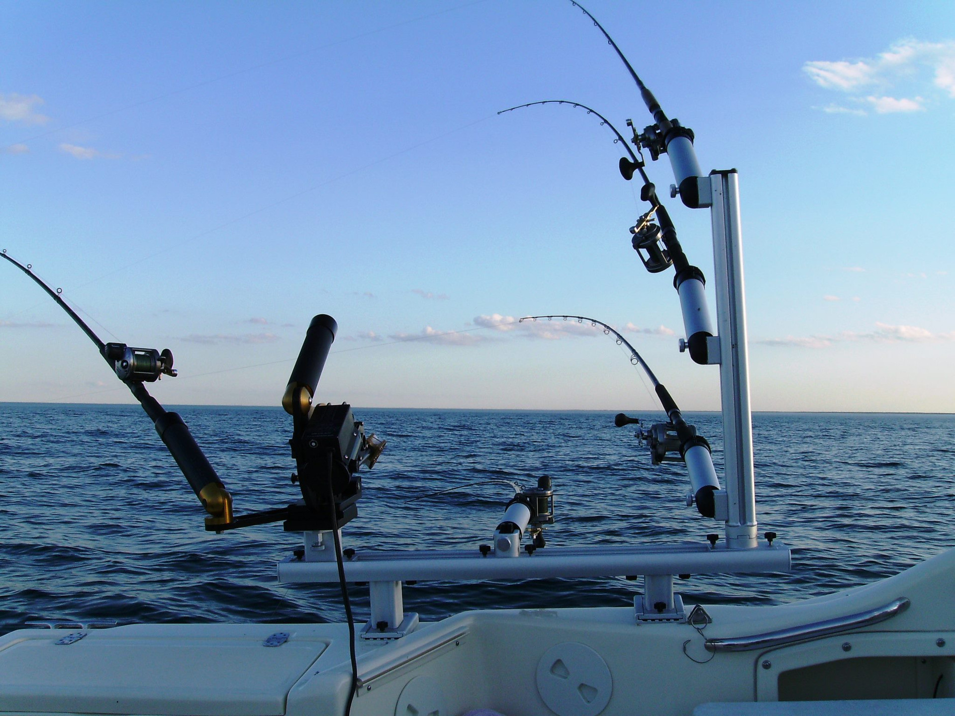 Vertical Rod Tree - Shop Now for Vertical Rod Tree Options