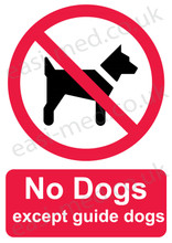 No Dogs Except Guide Dogs Sign – Ensure Accessibility and Safety