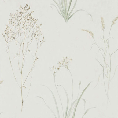 Sanderson Farne Grasses Wallpaper - 216488 - Willow / Pebble