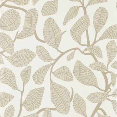 Scion - Sweet Bay Wallpaper - 113270 - Stone