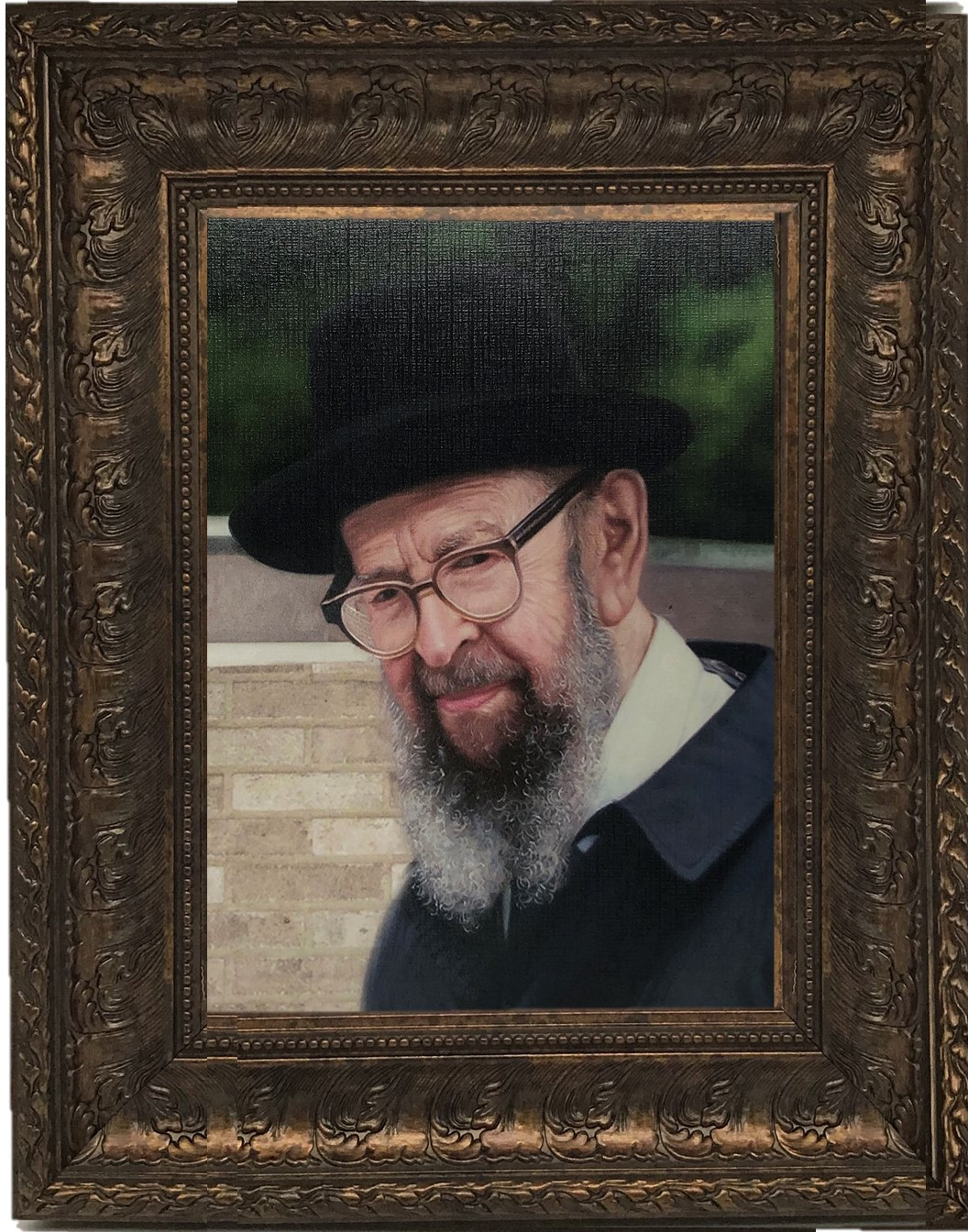 Rabbi Avigdor Miller Pictures and Portraits