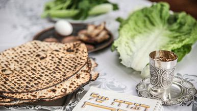 Complete Pesach Collection - 33 lectures - Simchas Hachaim Publishing