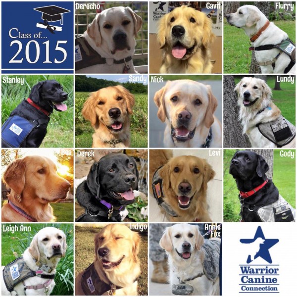 Congrats to Warrior Canine Connection’s Class Of 2015! | Kuranda Dog Beds®