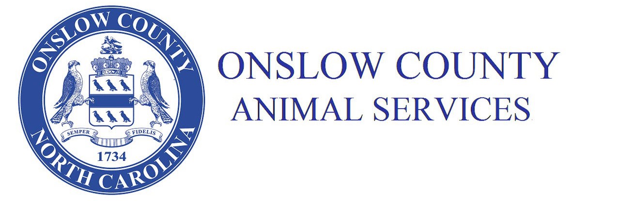 Shelter Shout Out: Onslow County Animal Services | Kuranda Dog Beds®
