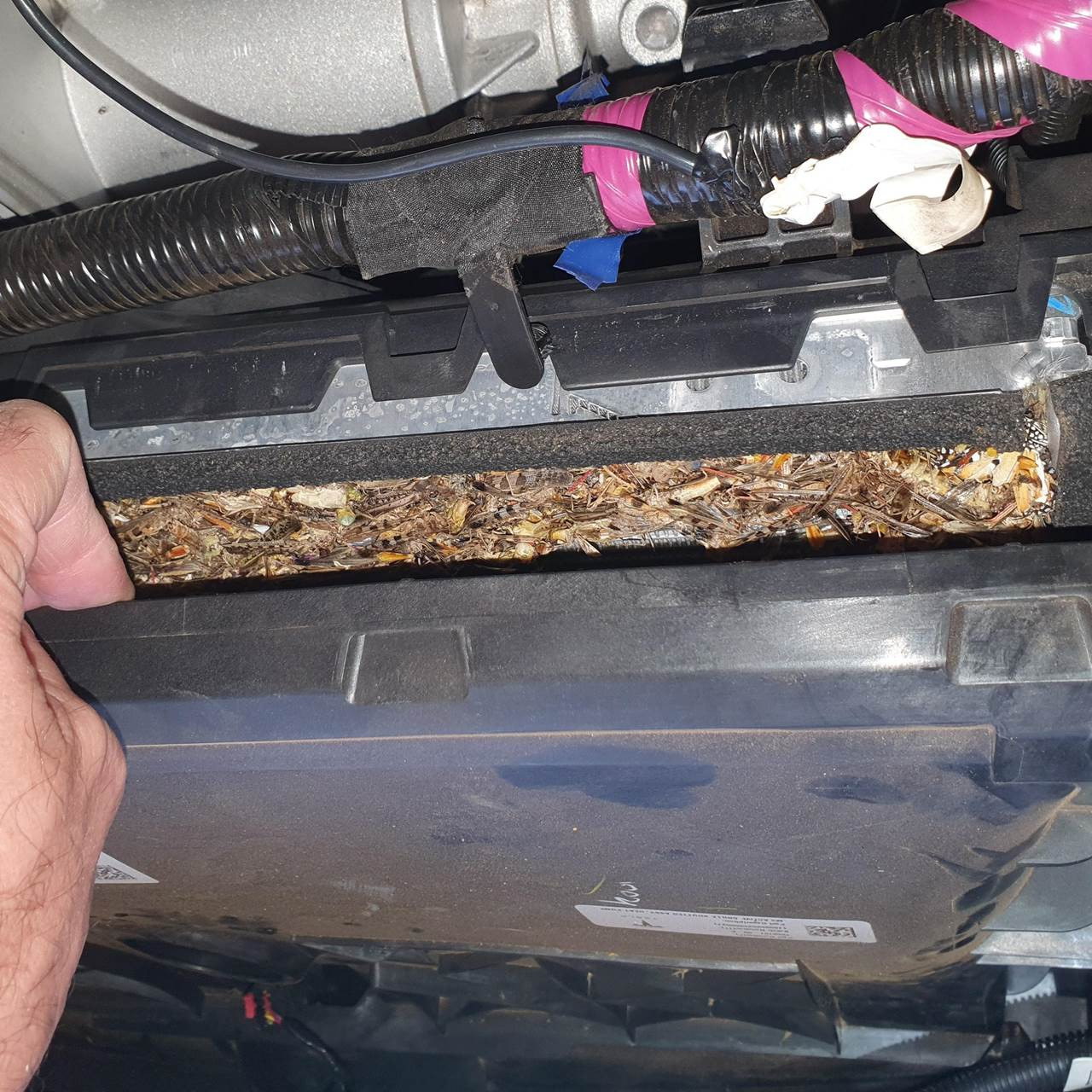 Radiator protective mesh grille insert for Tesla Model Y