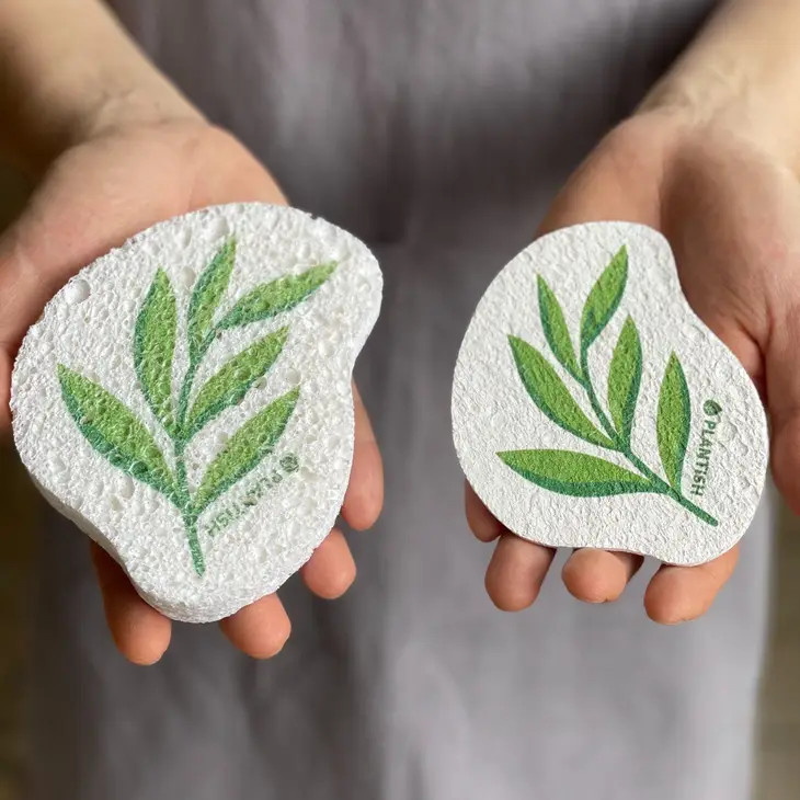 Plantish Pop up Sponge - Our Footprints Eco Store
