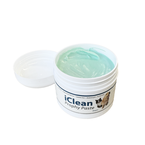 iClean Prophy Paste - 200g