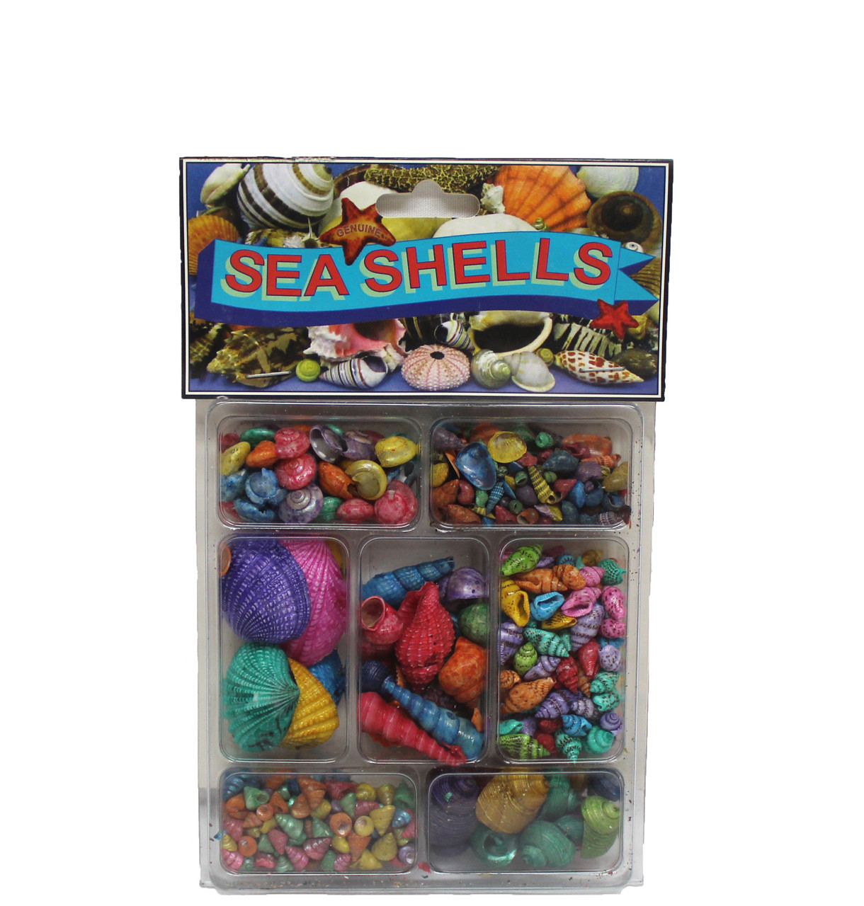 U.S. Shell, Inc. Dyed Seashell Collection