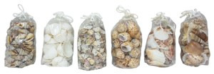 U. S. Shell, Inc. Packaged Seashells