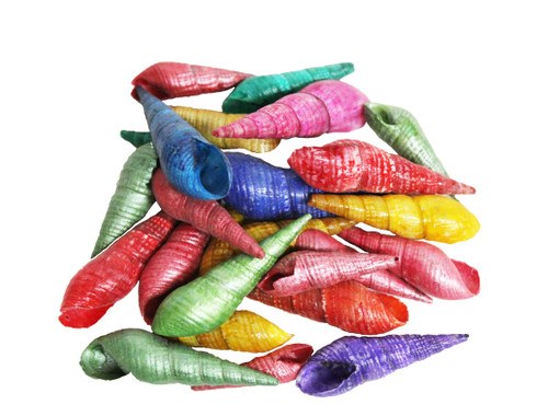 U.S. Shell, Inc. Dyed Seashells