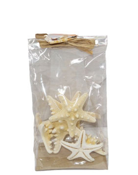 White Armoured Starfish W/Raffia - www.usshell.com