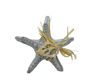 Armoured Starfish Silver Bundle - www.usshell.com