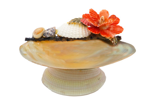 River Oyster Server - www.usshell.com