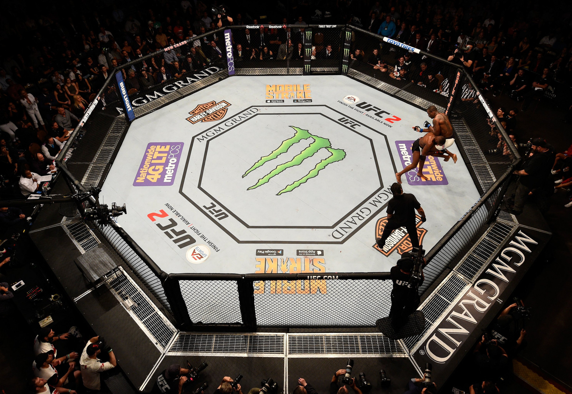 MMA CAGE RENTALS - MMACAGERENTALS.COM