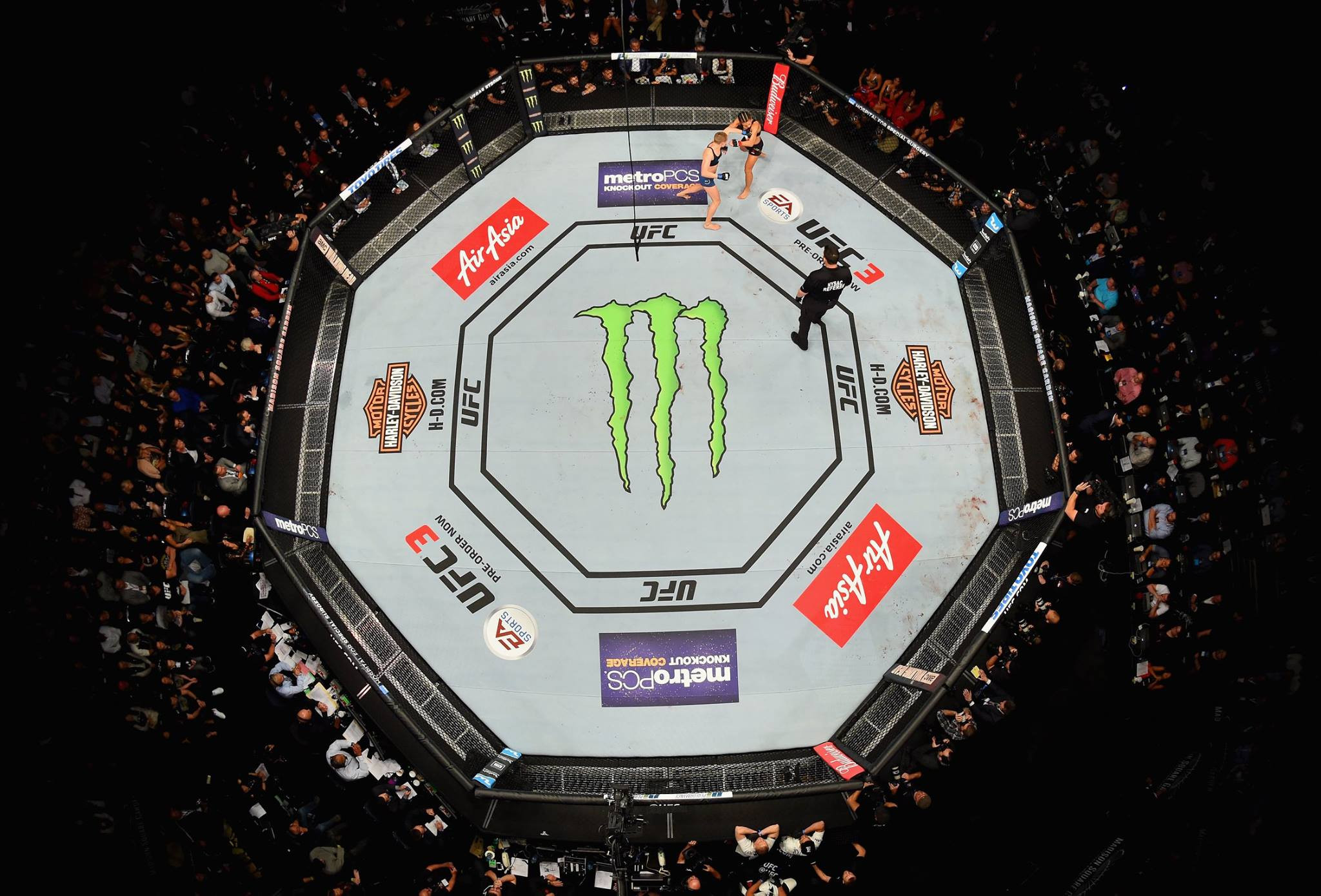 MMA CAGE RENTALS - MMACAGERENTALS.COM