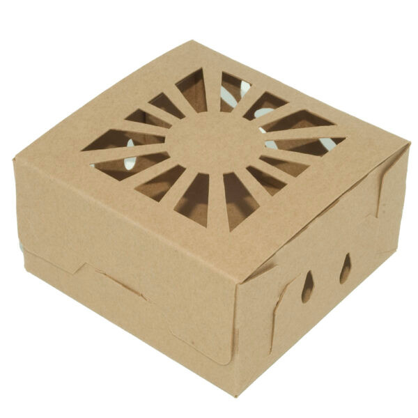 Sample of Pint Sized Kraft Paper Sustainable Produce Container