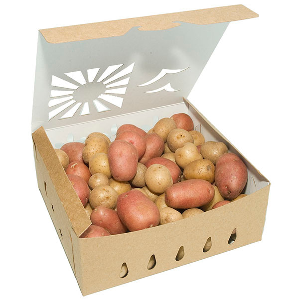 2 Quart Reversible Paper Sustainable Produce Containers | Bulk