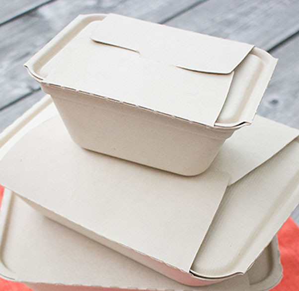 24 oz Compost-A-Pak Take-Out Boxes | FP-SC-1-LFS
