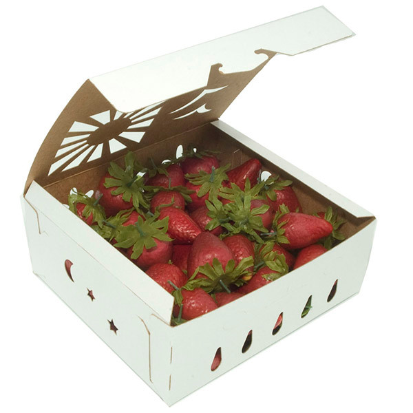 2 Quart Reversible Paper Sustainable Produce Containers | Bulk