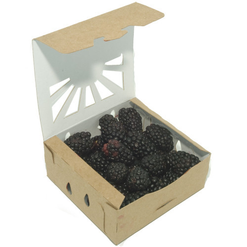 Sample of Half Pint Reversible Paper Clamshell Produce Container