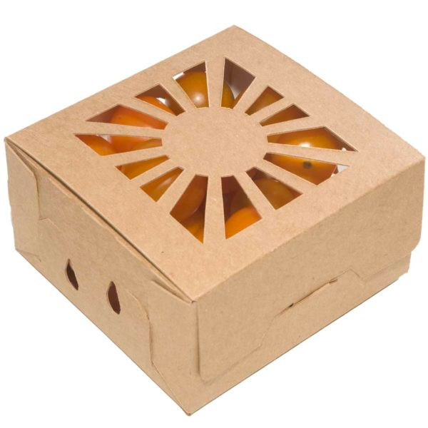 Sample of Pint Sized Reversible Paper Sustainable Produce Containers