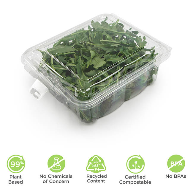 Secure Square 48 oz PLA Clamshell Containers | BDV01389