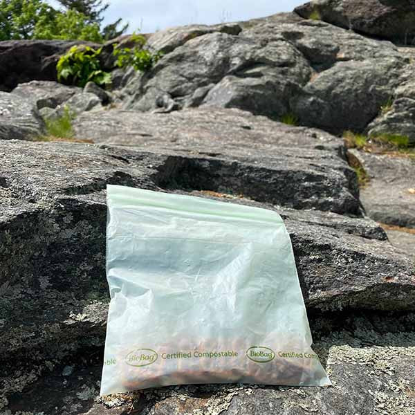 BioBag Resealable Sandwich Bags | 25 count | 190420