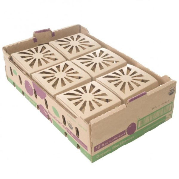 Sample of Pint Sized Kraft Paper Sustainable Produce Container
