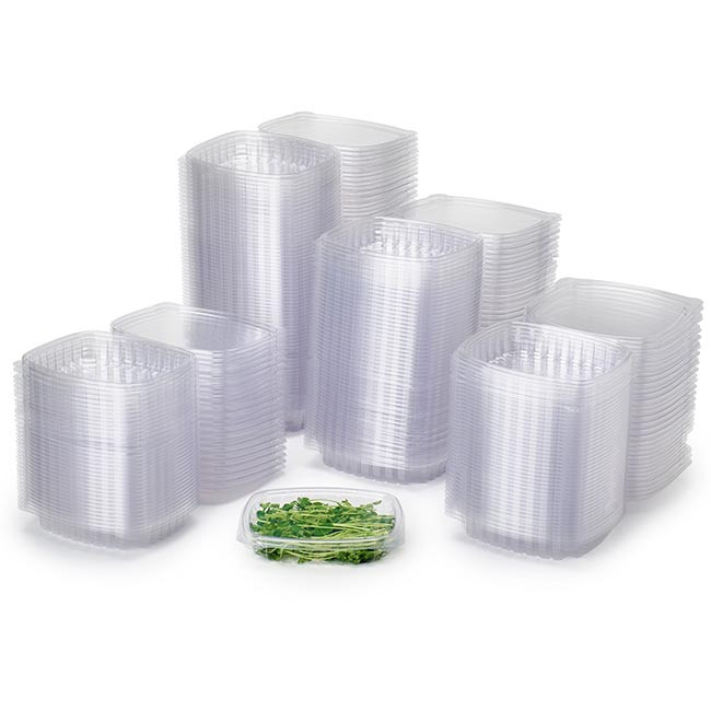 16 oz Compostable PLA Clamshell Deli Containers w/Lids | BDV09006