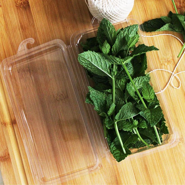 2 - 3 oz Hanging Herb Clamshell Packaging | XXV00412