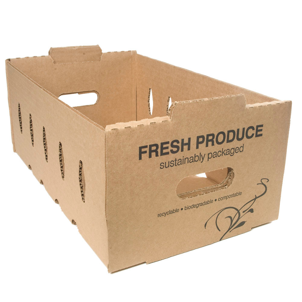 Small Master Tray Cardboard Produce Shippers for Produce Containers