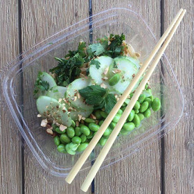 Microgreen Packaging Compostable Containers Wholesale