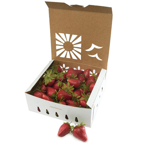 2 Quart Reversible Paper Sustainable Produce Containers | Bulk
