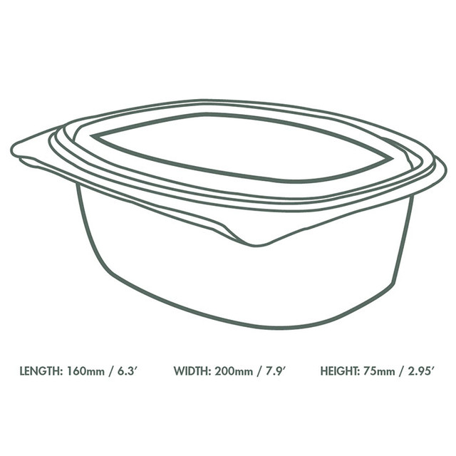 48 oz Hinged PLA Clamshell Deli Containers | Vegware VHD-48