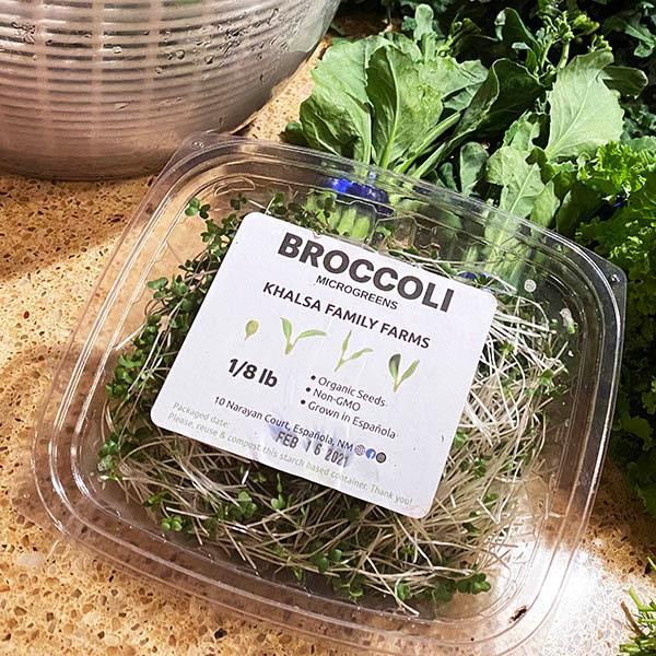 Microgreen Packaging Compostable Containers Wholesale