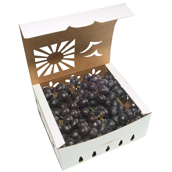 2 Quart Reversible Paper Sustainable Produce Containers | Bulk